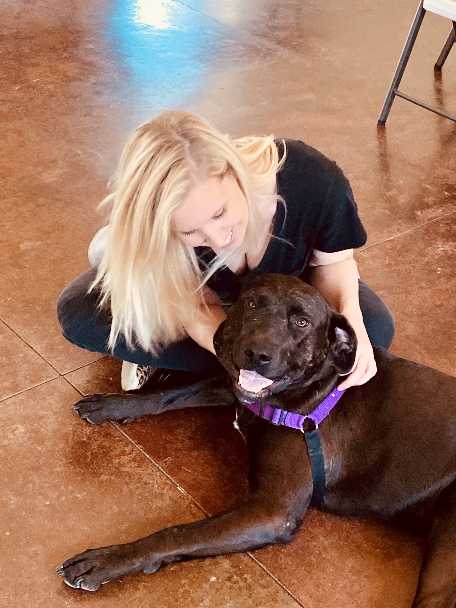 Jonah's Journey - Woods Humane Society