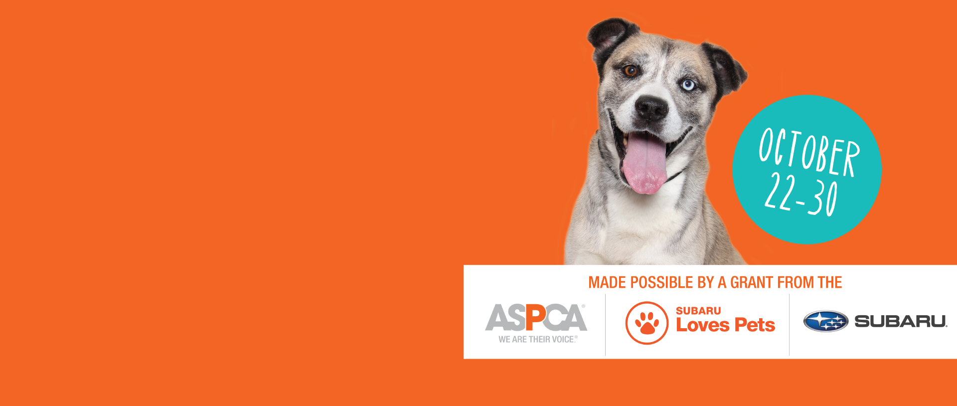 Make a Dog's Day! - Woods Humane Society