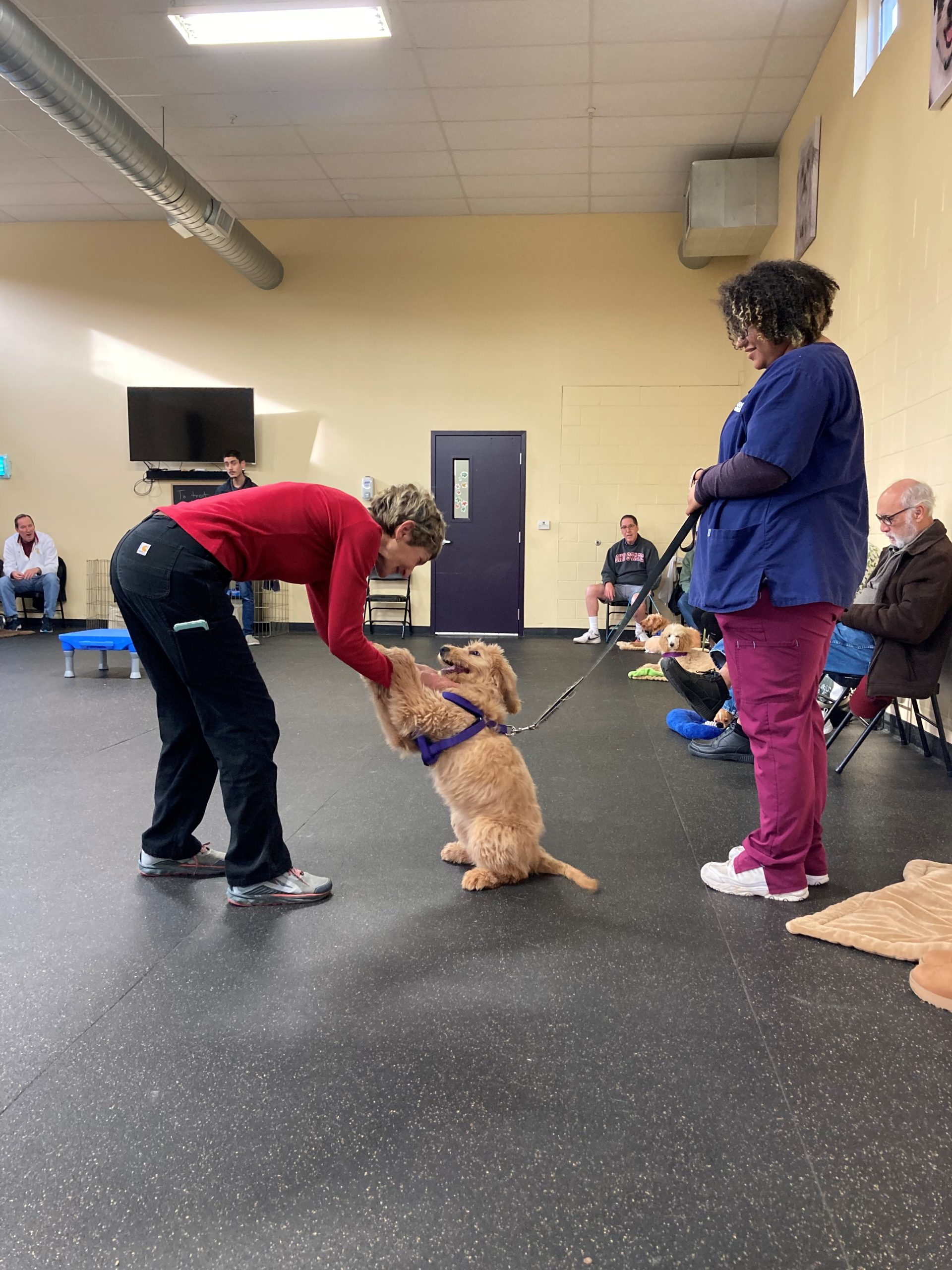 Woods Humane Society Expands Dog Behavior & Training Program to Meet ...