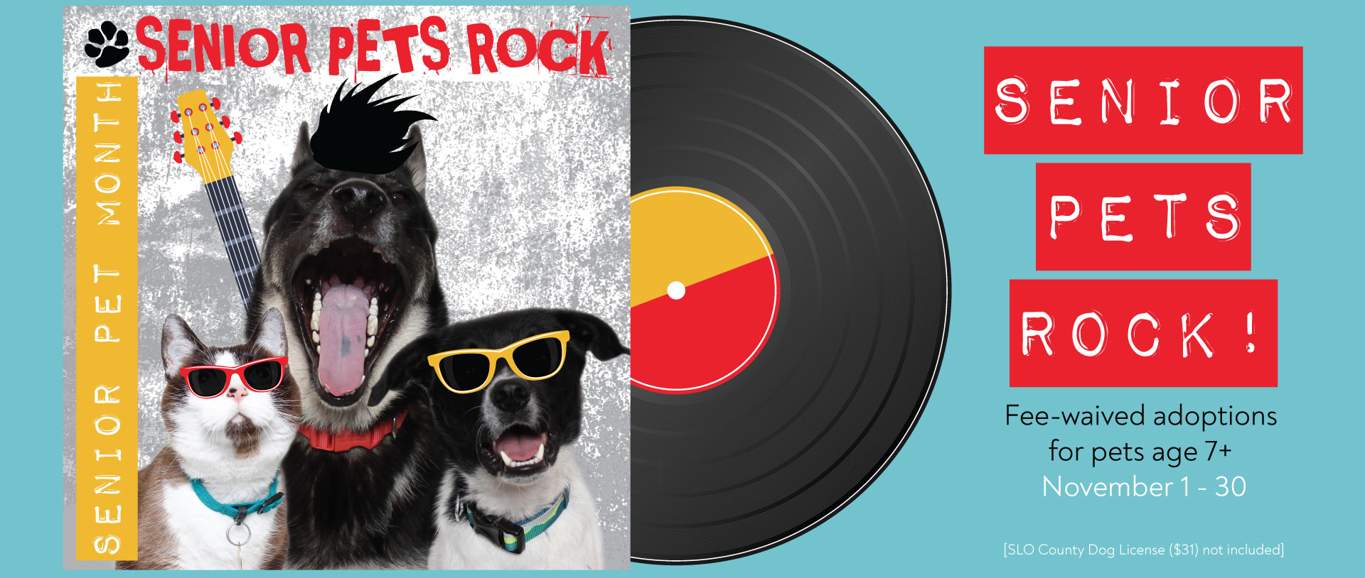 Woods Humane Society Announces “Senior Pets Rock” Adoption Special ...
