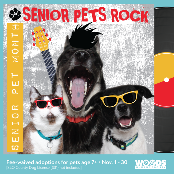 Woods Humane Society Announces “Senior Pets Rock” Adoption Special ...