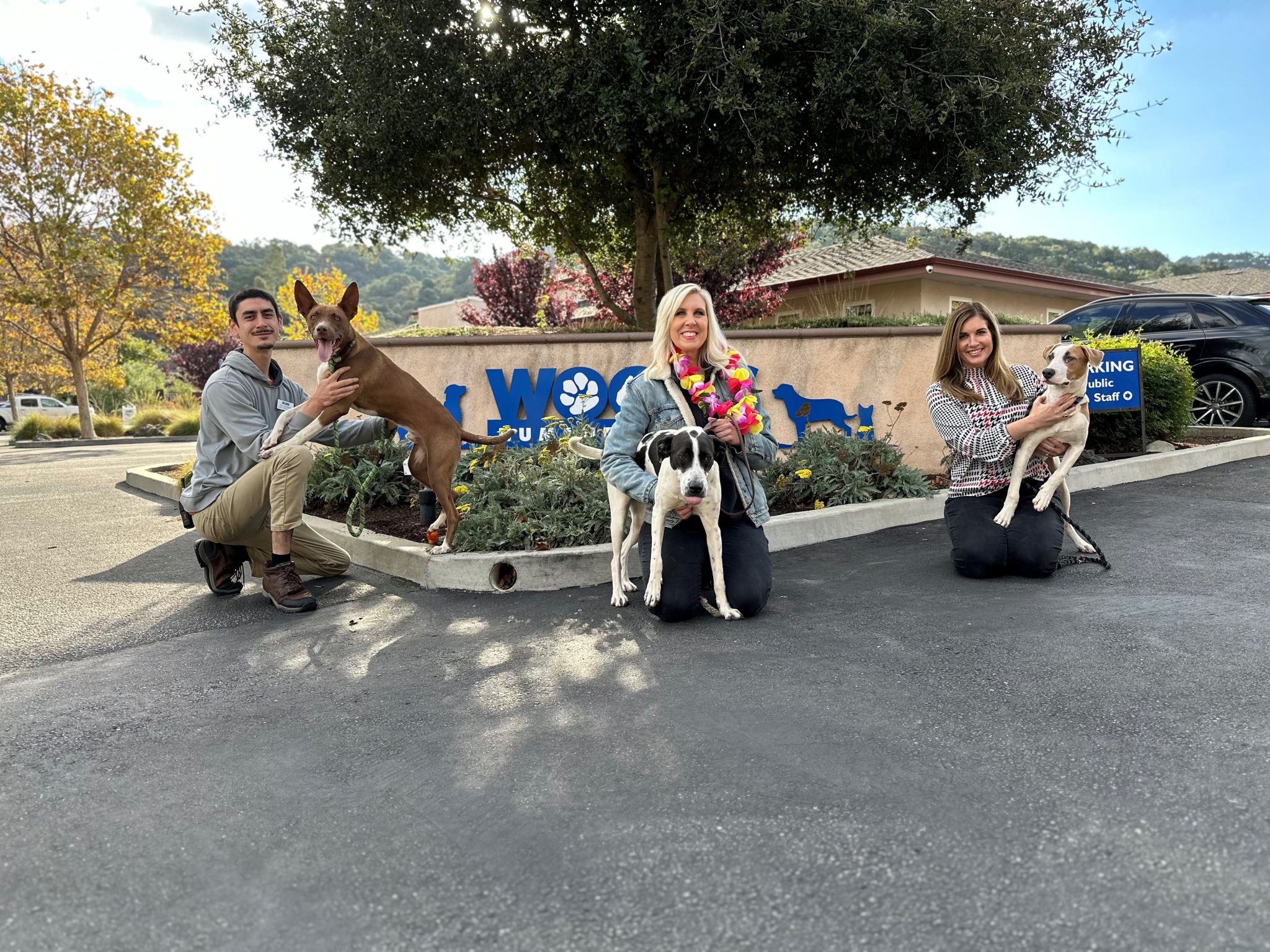 Woods Humane Society Transports 3 Dogs from Maui Humane Society - Woods ...