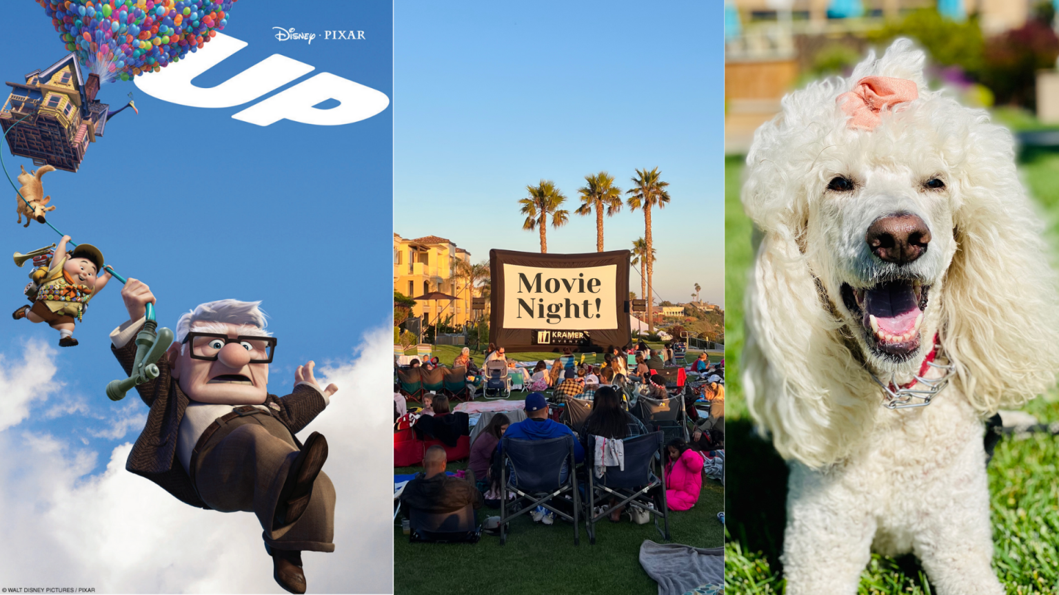 Movie Night for National Puppy Day - Woods Humane Society